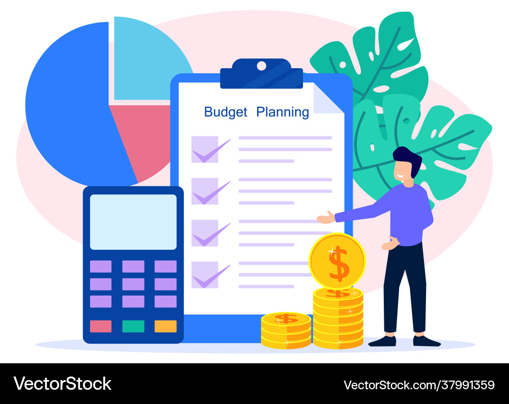Graphic cartoon character budget planning Vector Image
