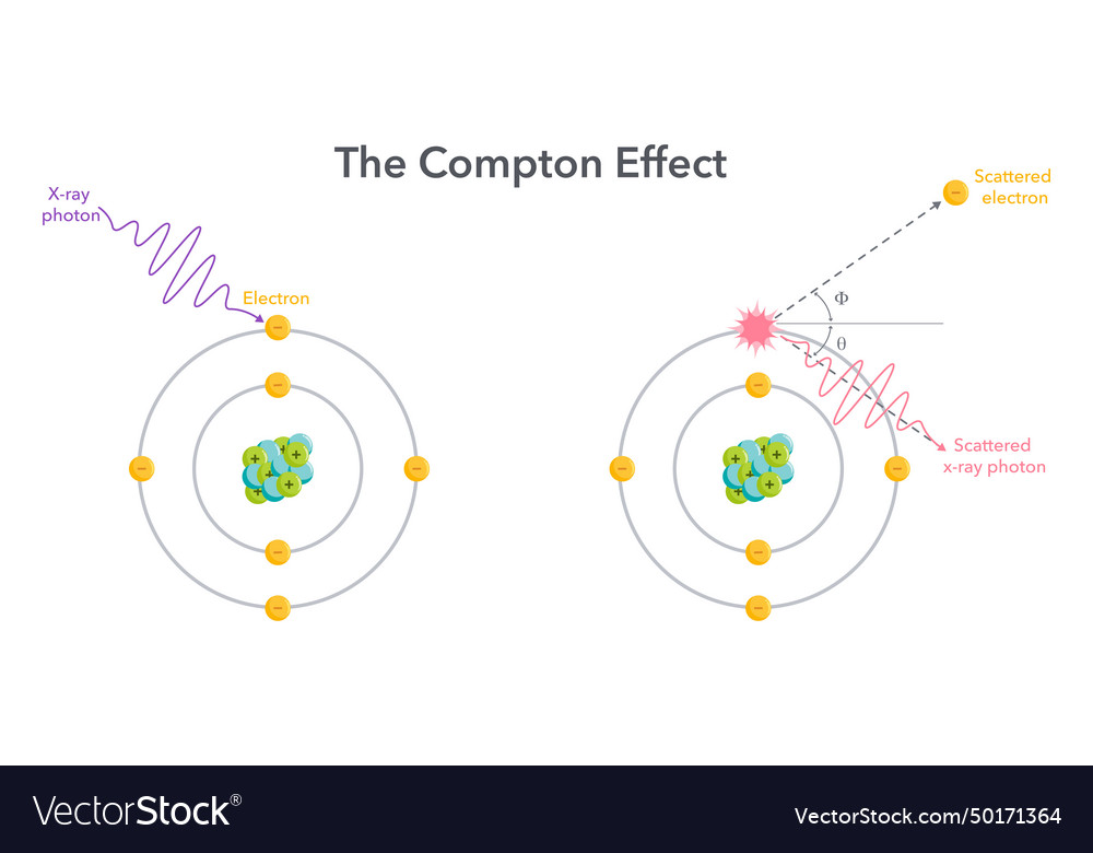 Compton effect Royalty Free Vector Image - VectorStock