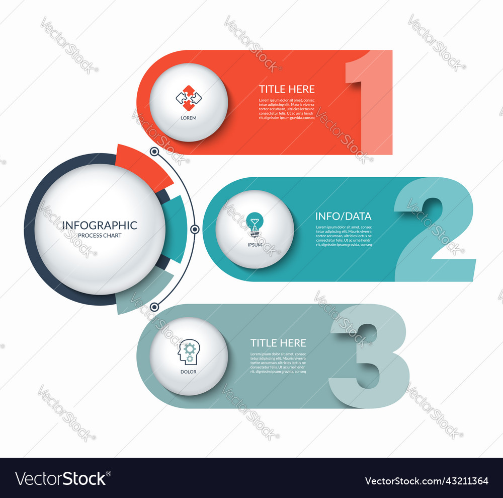 Infographic template with 3 steps options parts Vector Image