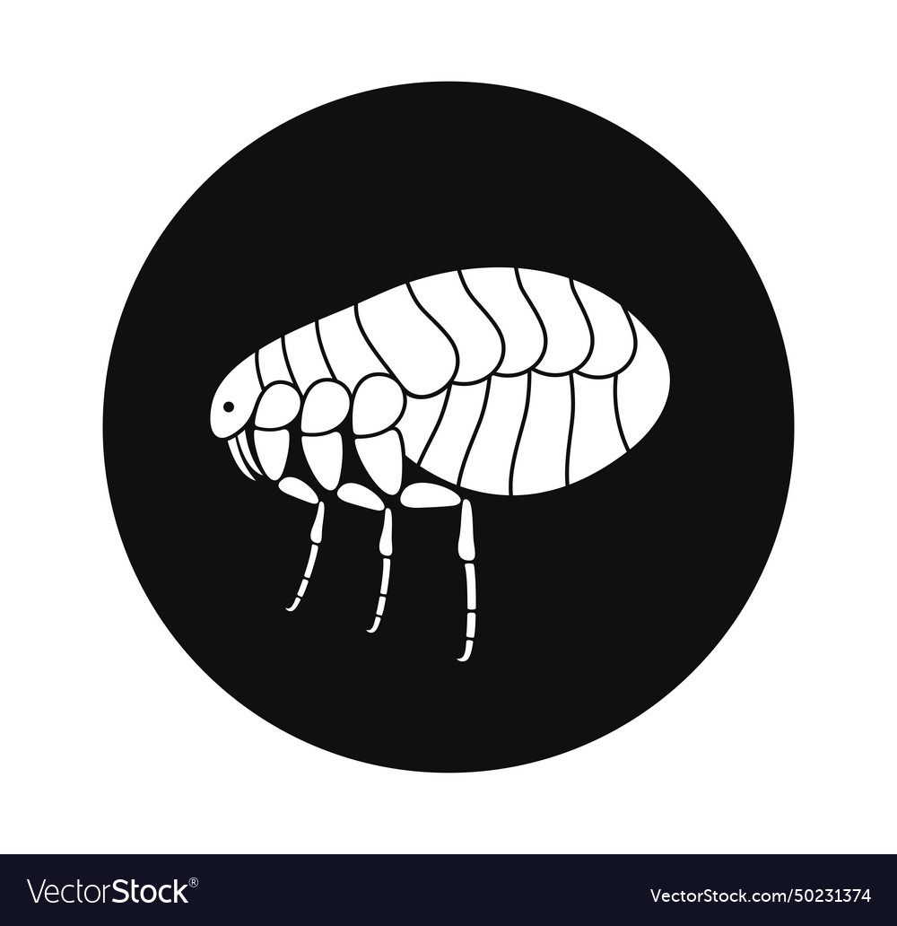 Flea Royalty Free Vector Image - VectorStock