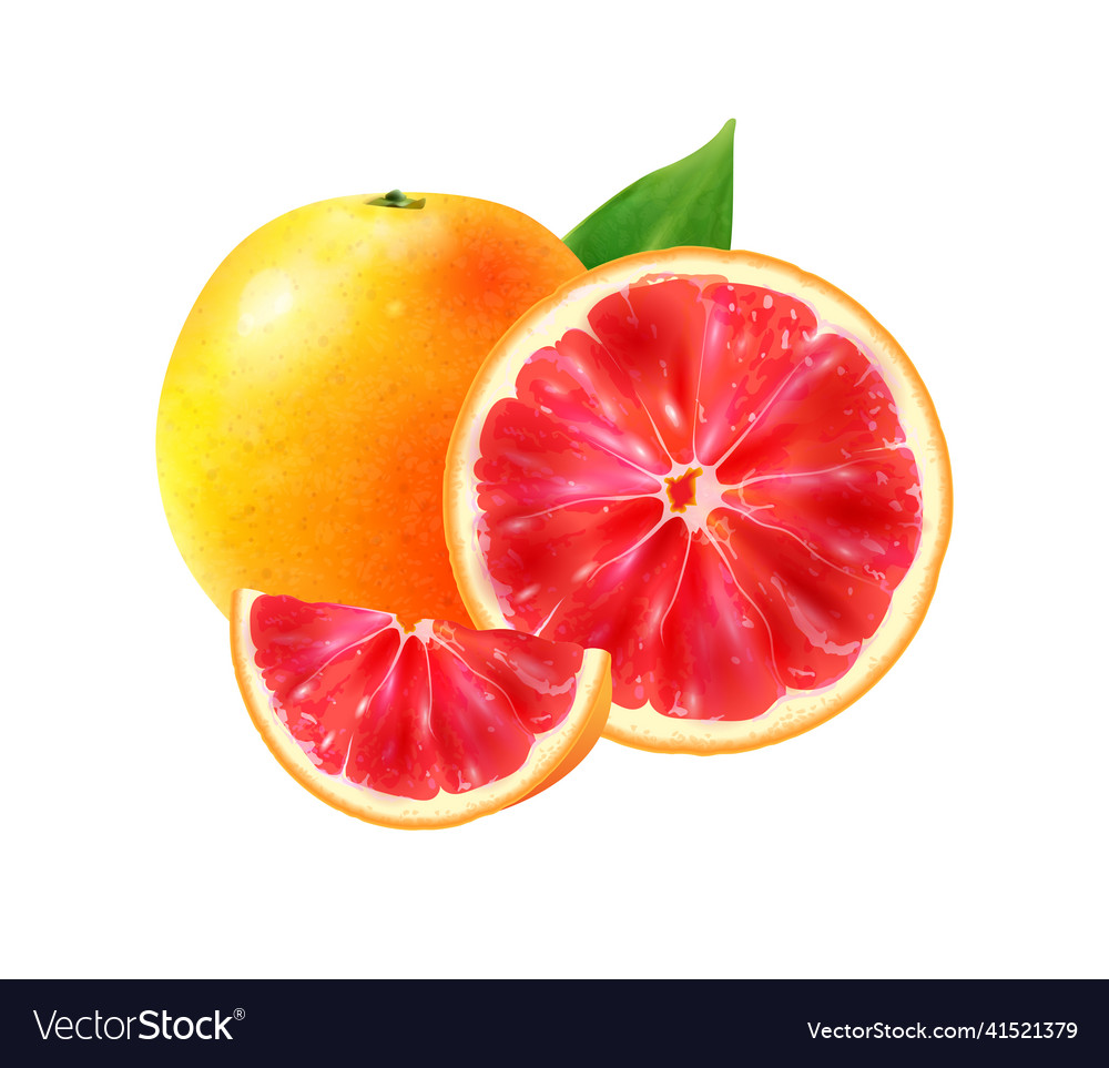 Realistic grapefruit fruit composition Royalty Free Vector Realistic grapefruit fruit composition Royalty Free Vector