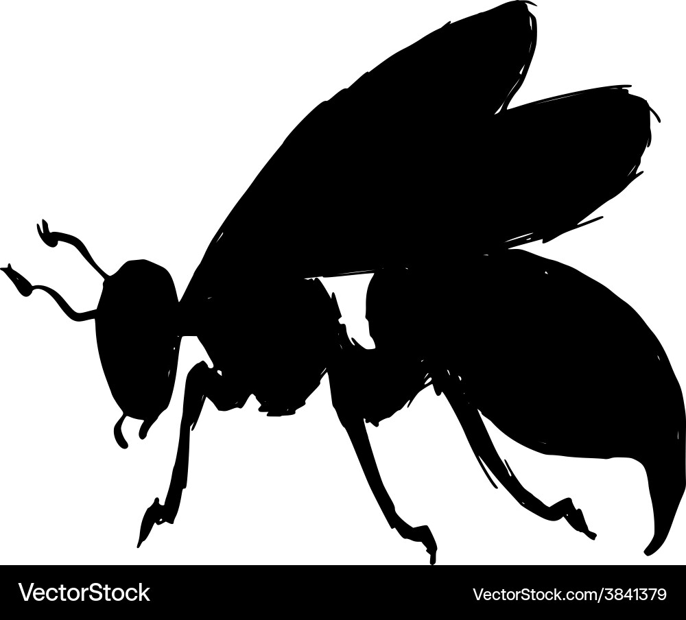 Wasp Royalty Free Vector Image - VectorStock