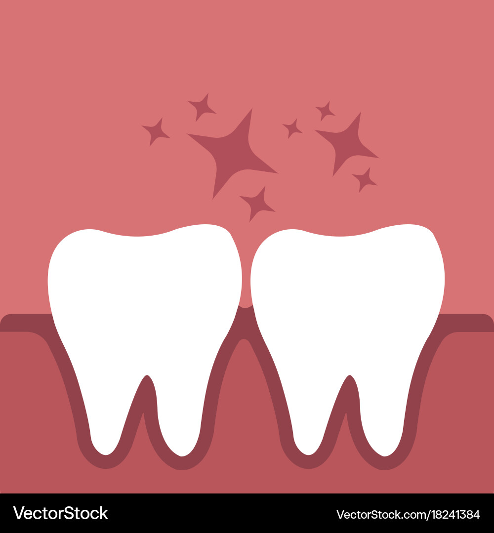 Tooth in gums Royalty Free Vector Image - VectorStock