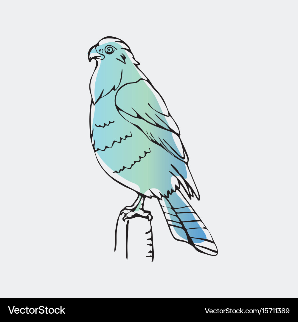 Hand-drawn graphics bird predator bird of prey Vector Image