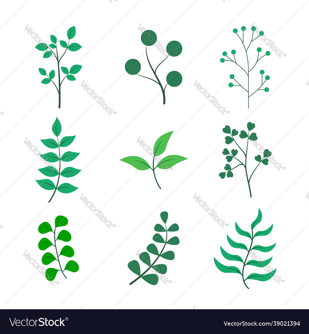 Leaf set collection Royalty Free Vector Image - VectorStock