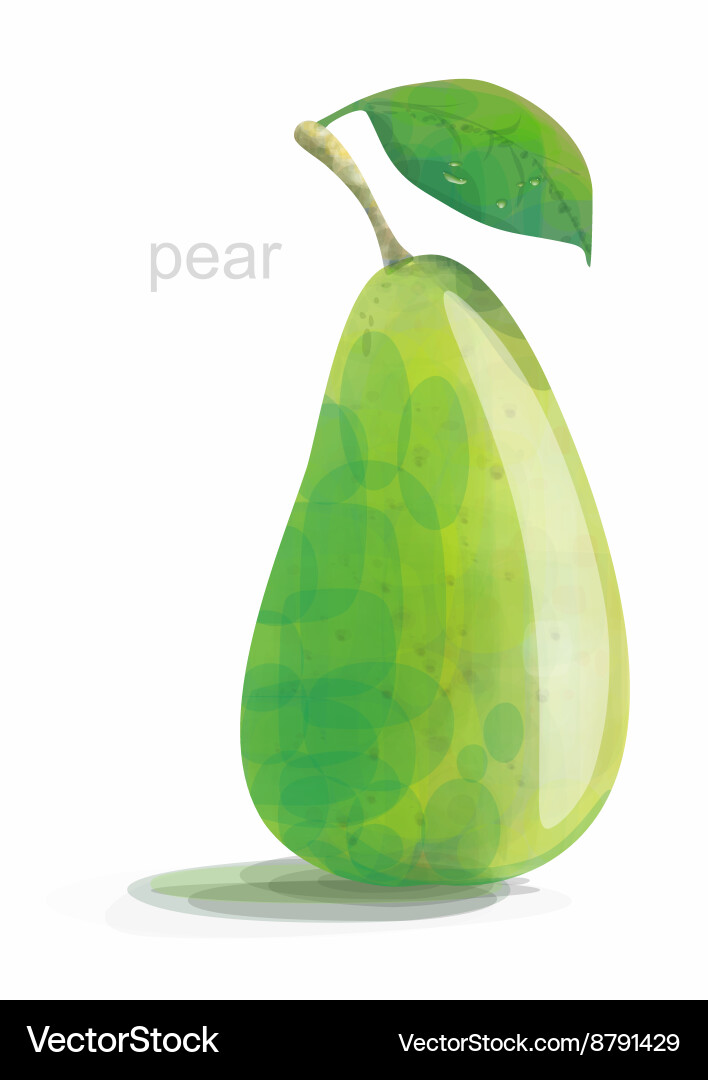 Green pear low poly on a white background Vector Image