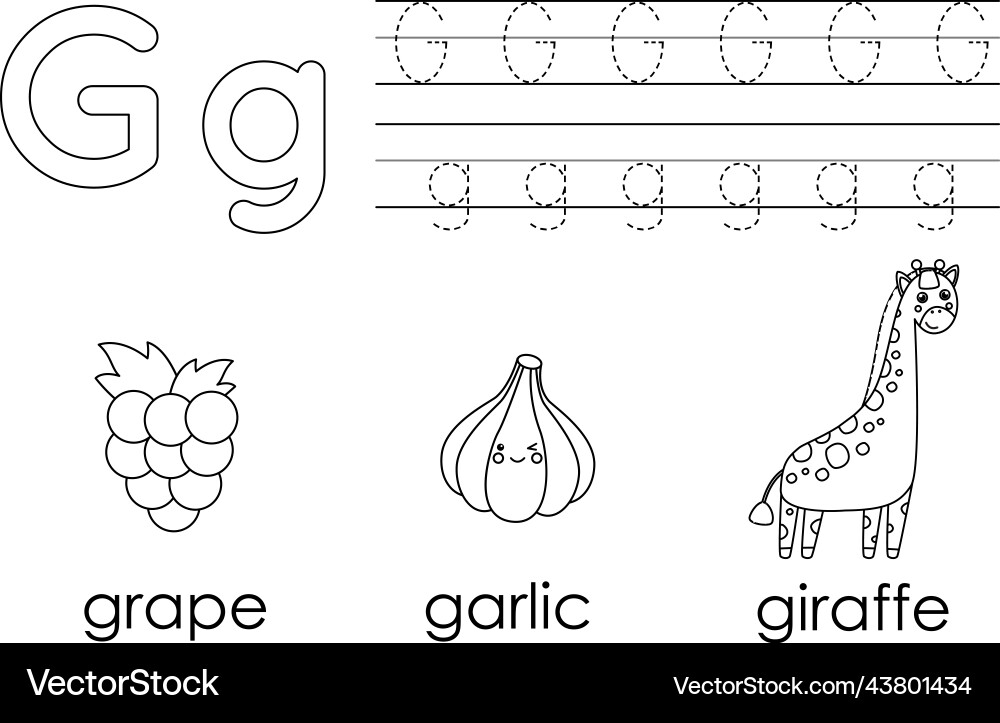 Tracing alphabet letters for kids learning letter Vector Image