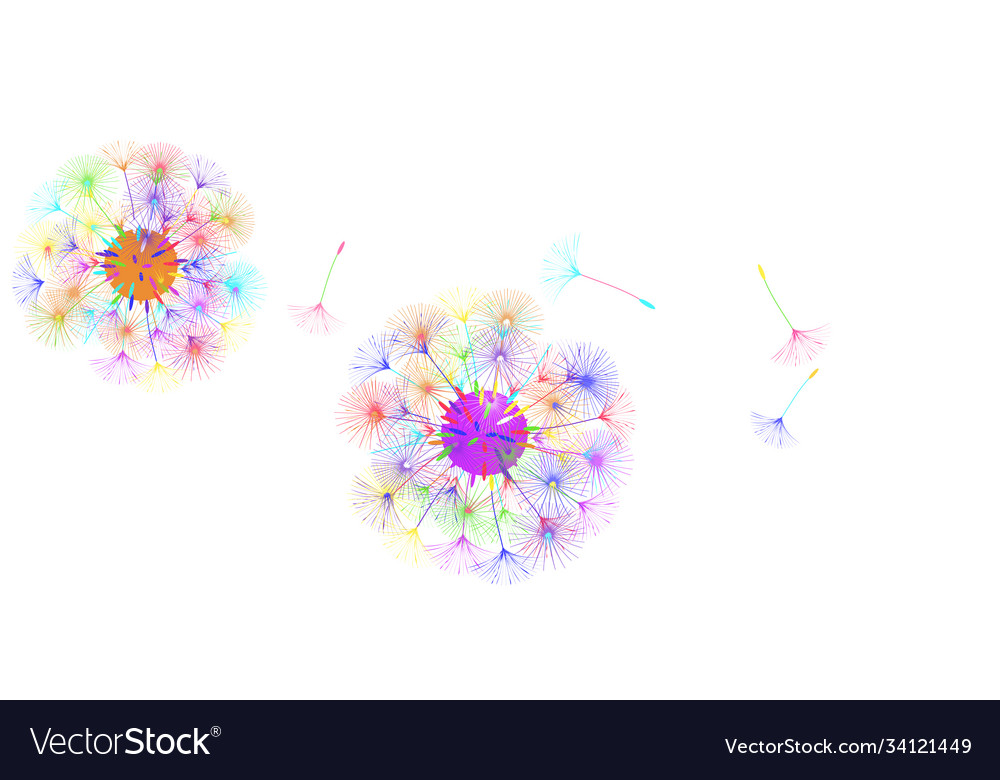 Dandelion background Royalty Free Vector Image