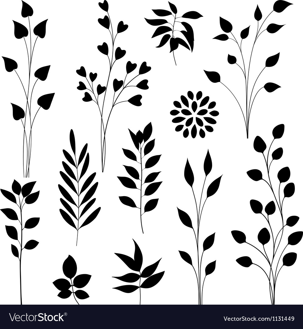 Leaf elements Royalty Free Vector Image - VectorStock