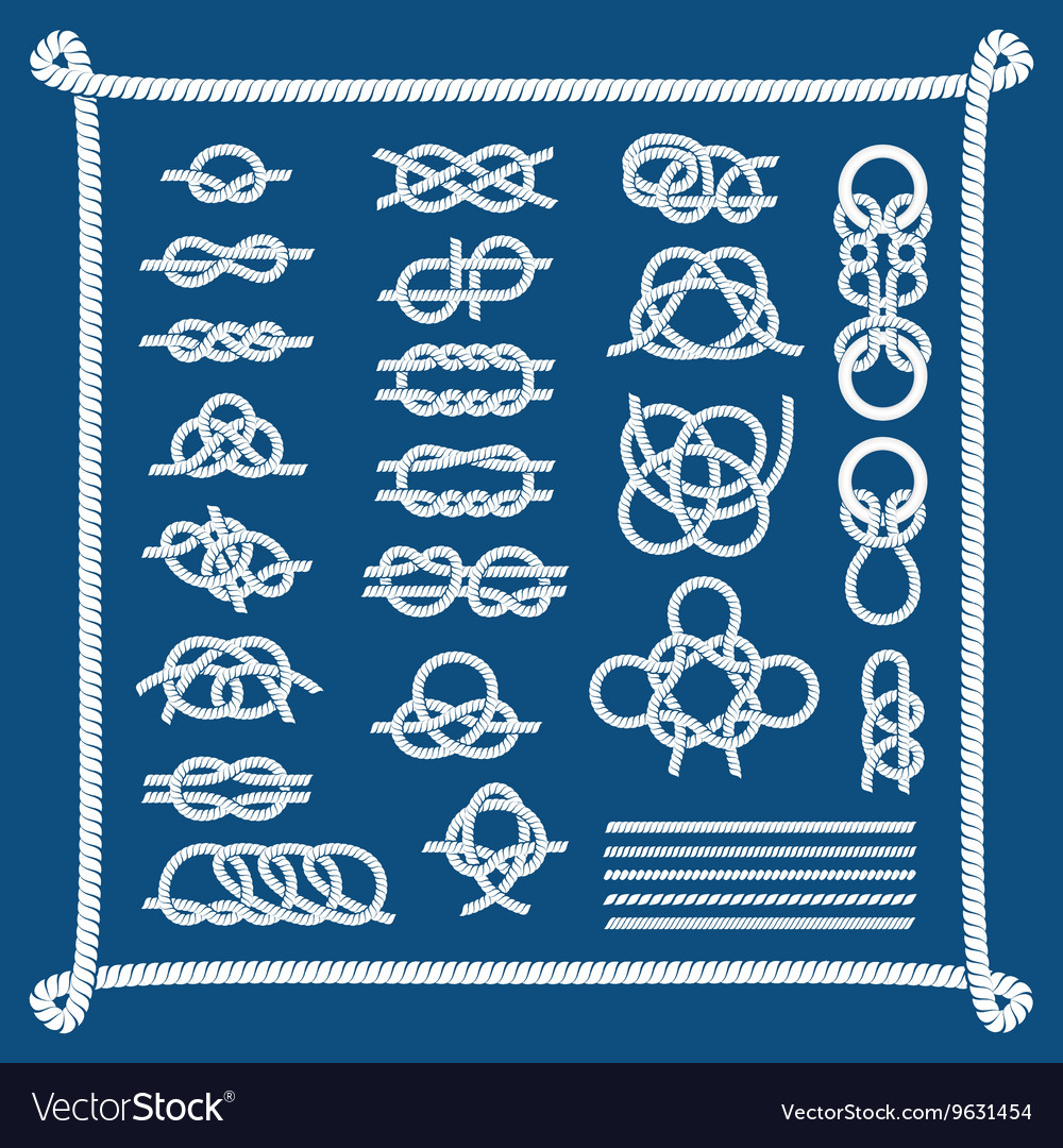 Rope knots Royalty Free Vector Image - VectorStock