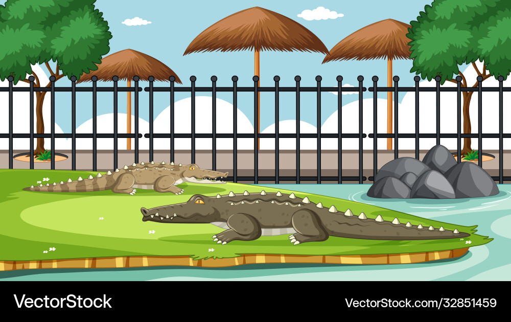 Alligator in zoo scene Royalty Free Vector Image