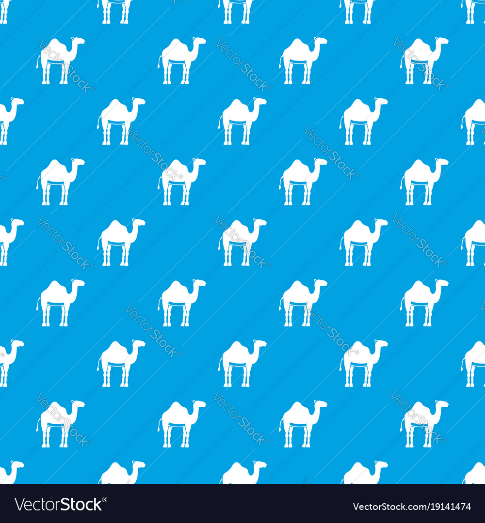 Camel pattern seamless blue Royalty Free Vector Image