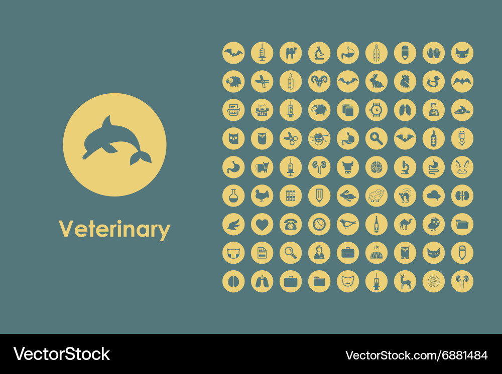 Set of veterinary simple icons Royalty Free Vector Image