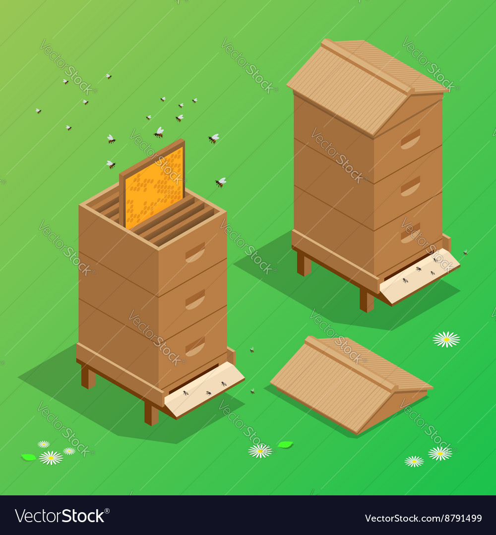 Apiary honey bee house apiary Royalty Free Vector Image Apiary honey bee house apiary Royalty Free Vector Image