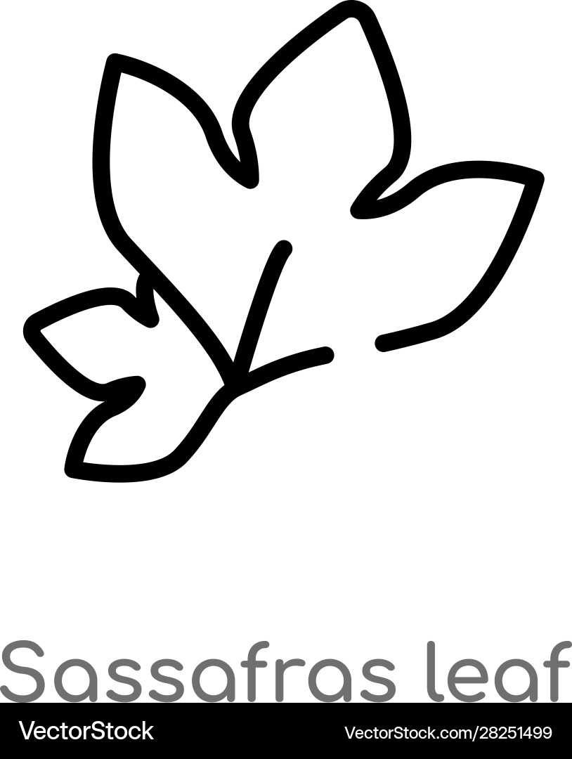 Outline sassafras leaf icon isolated black simple Vector Image