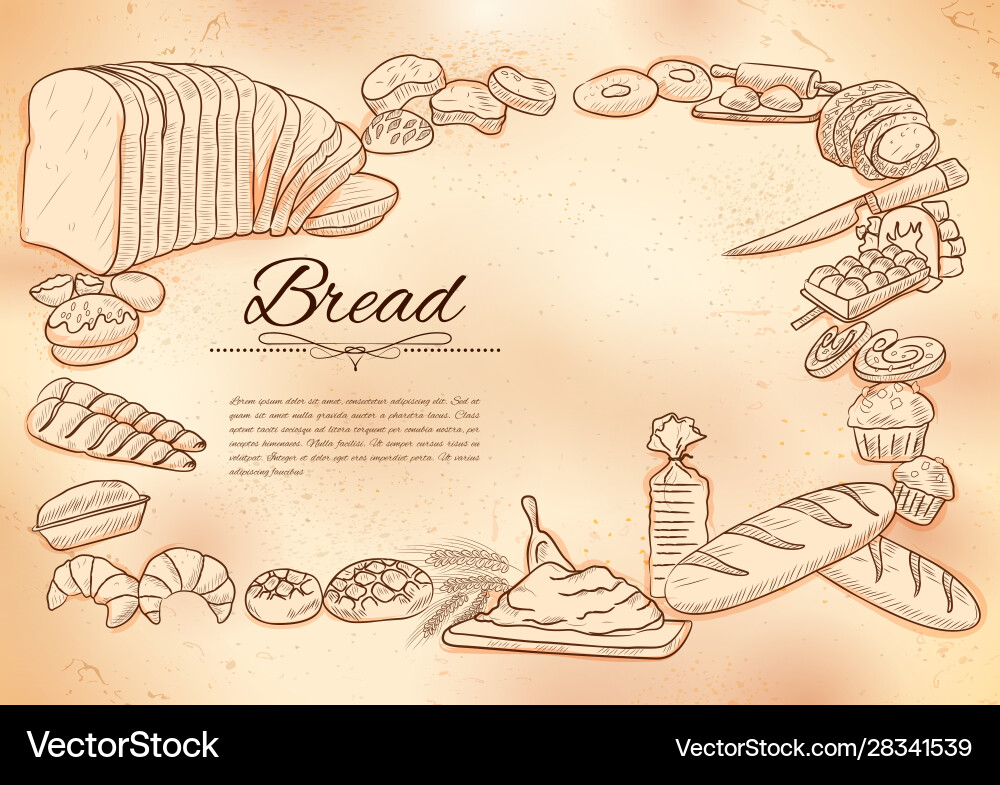 Template different types bread and loafs Vector Image