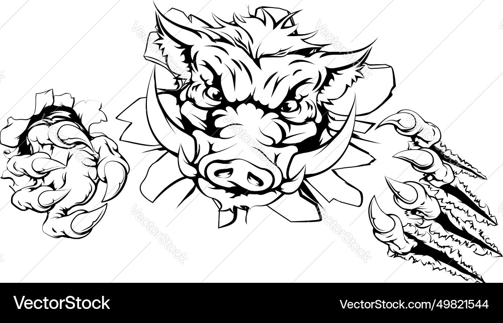Boar claw breakthrough Royalty Free Vector Image