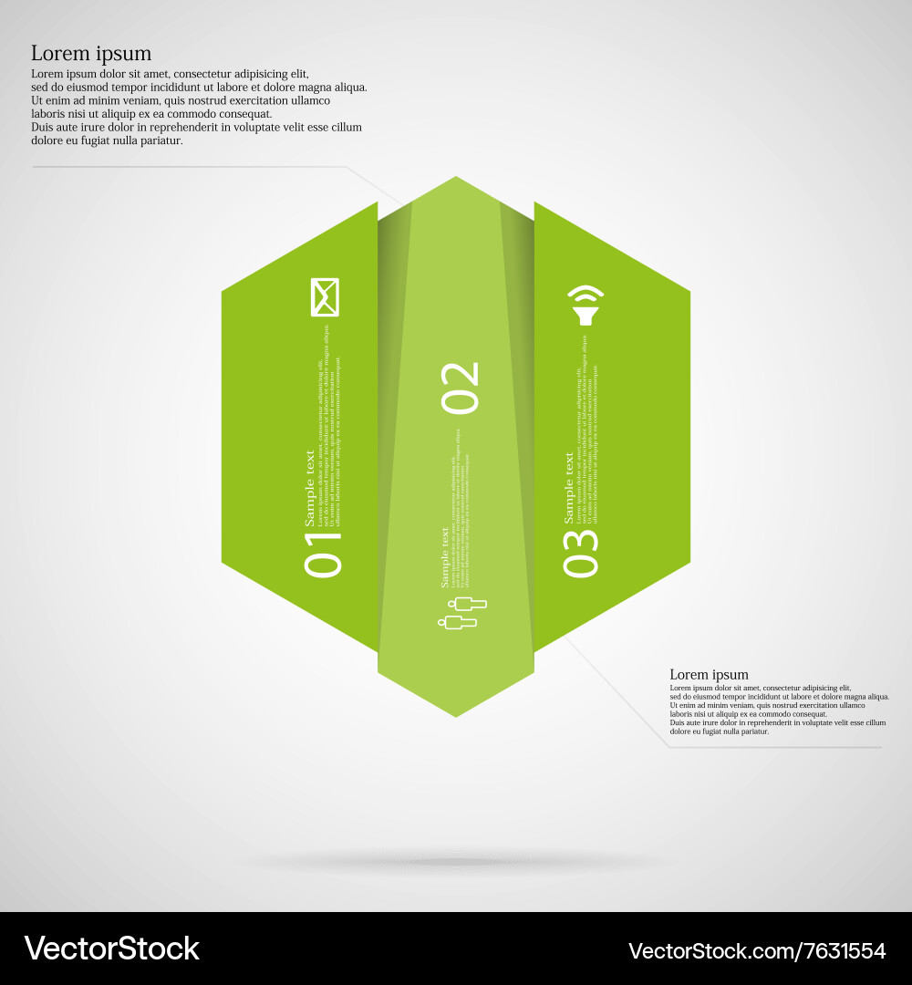 Hexagonal infographic template vertically divided Vector Image