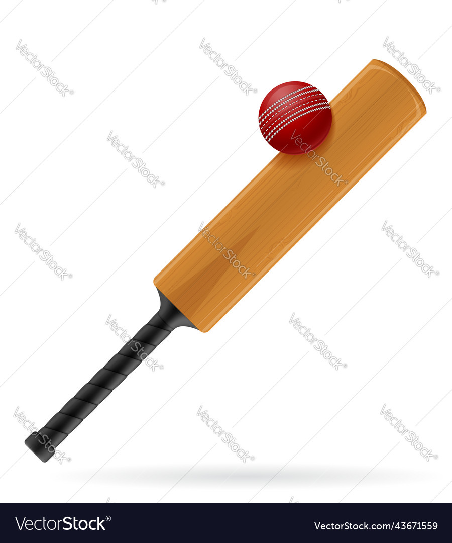 Cricket bat and ball for a sports game stock Vector Image