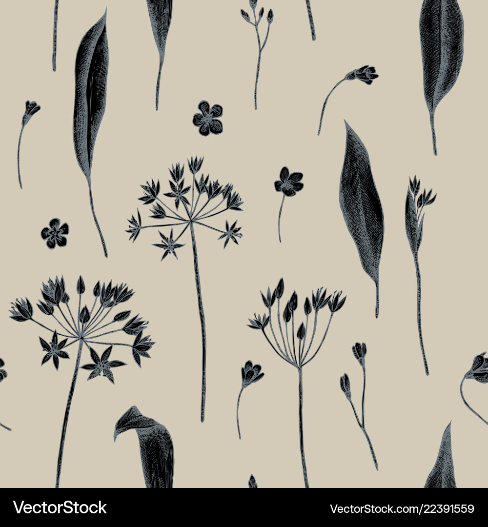 Seamless pattern of wild garlic hand drawn Vector Image