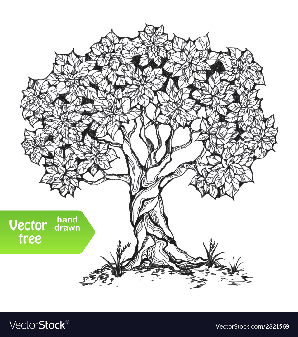 Alone tree Royalty Free Vector Image - VectorStock