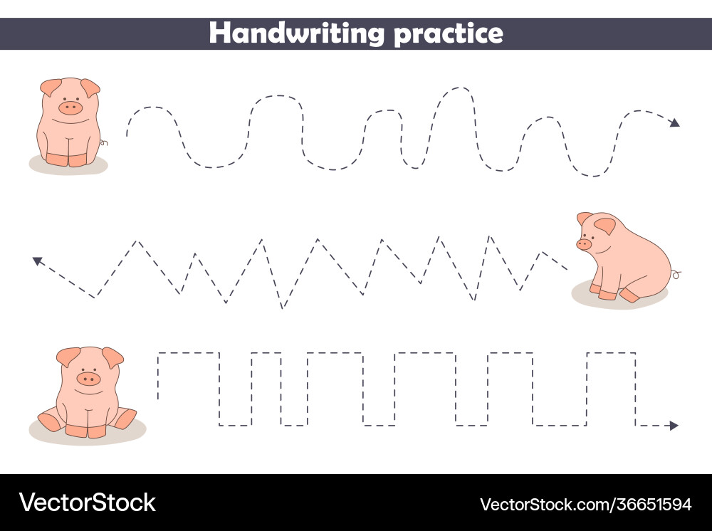 Handwriting practices with pigs children Vector Image