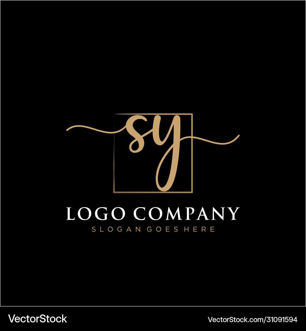 Sy initial handwriting logo with rectangle Vector Image