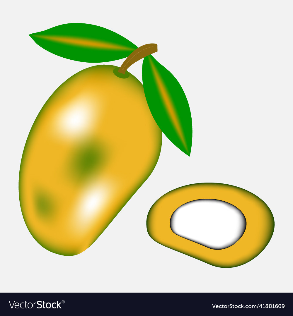 Mango design Royalty Free Vector Image - VectorStock