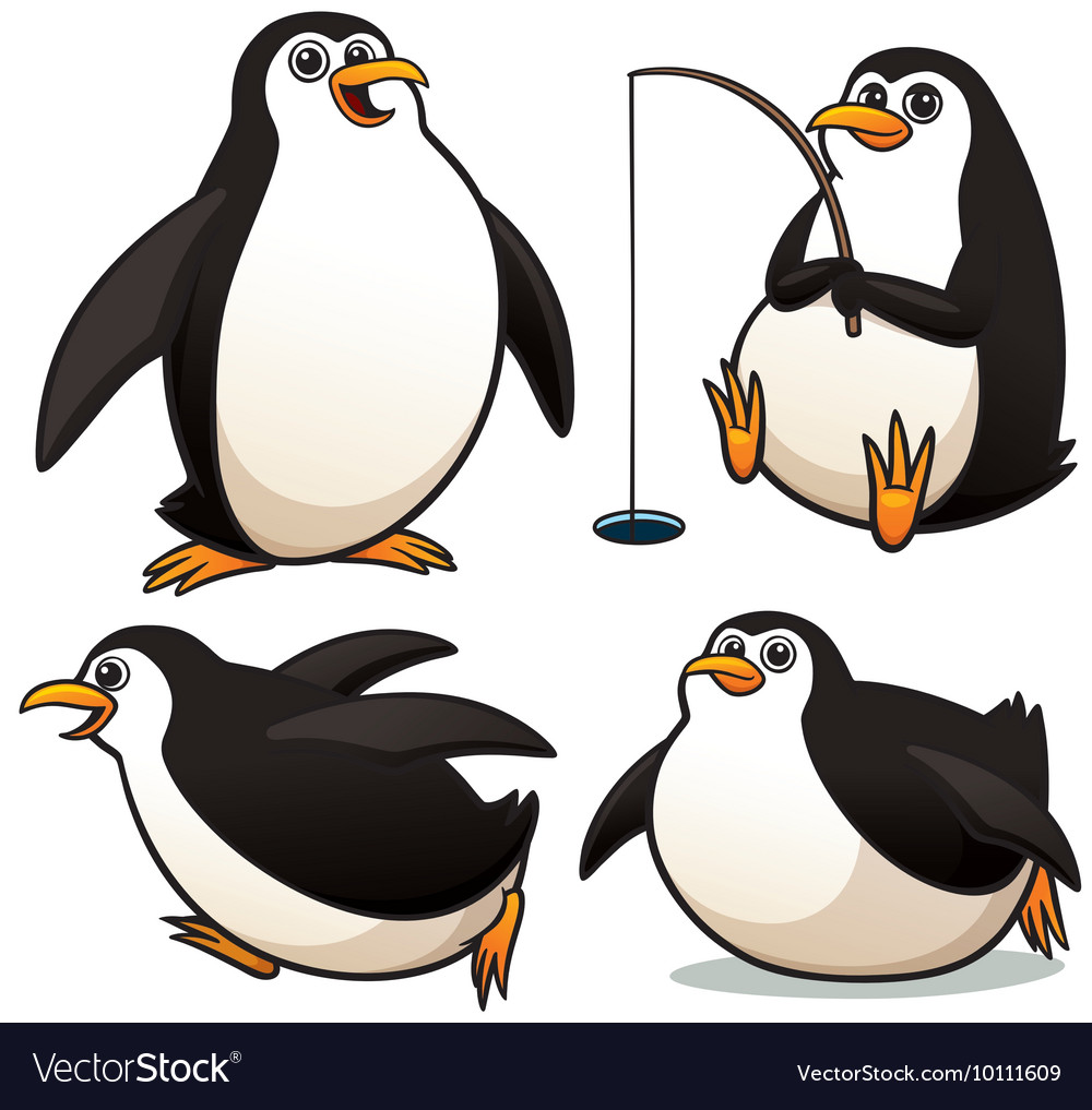 Penguin Royalty Free Vector Image - VectorStock