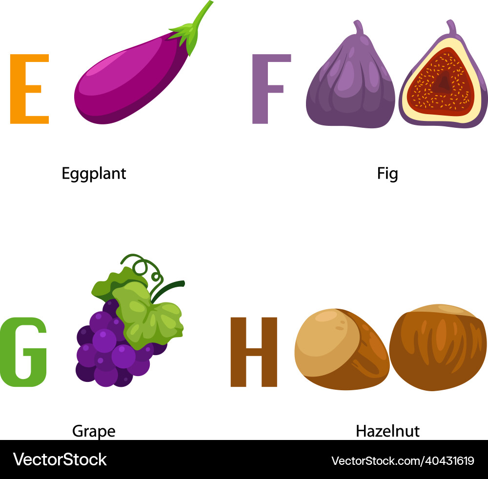 Alphabet e-h lettereggplantfig grapehazelnut Vector Image