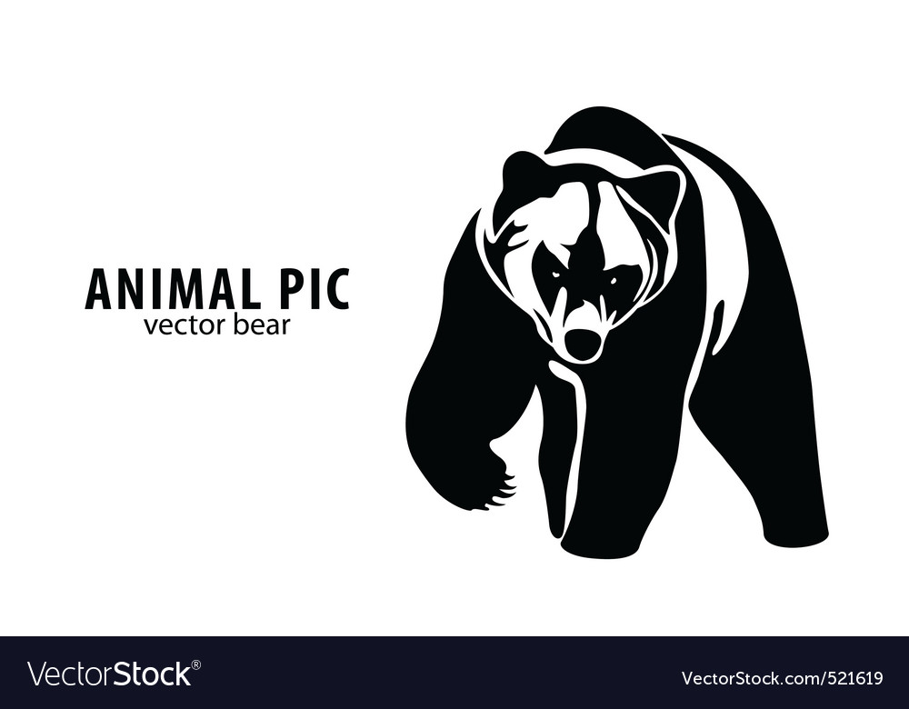 Bear Royalty Free Vector Image - VectorStock