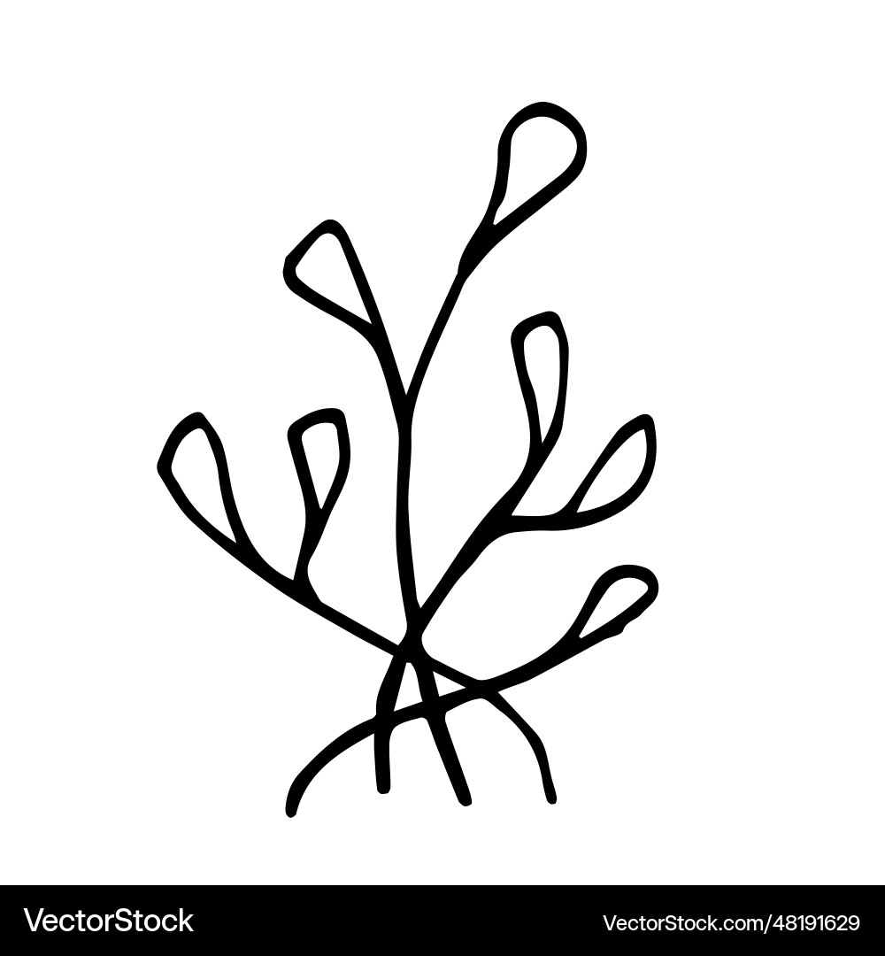 A wild shrub line art bota Royalty Free Vector Image