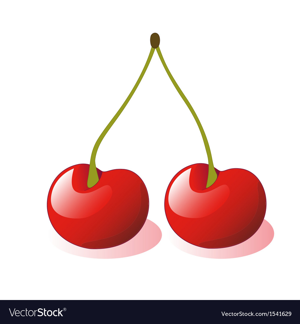 Cherry Royalty Free Vector Image - VectorStock