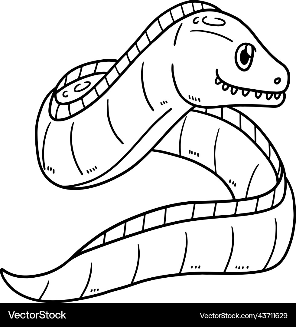 Eel isolated coloring page for kids Royalty Free Vector