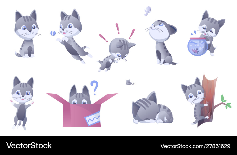 Kitty set house domestic cats Royalty Free Vector Image