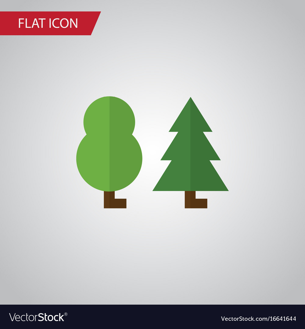 Isolated tree flat icon forest element can Vector Image