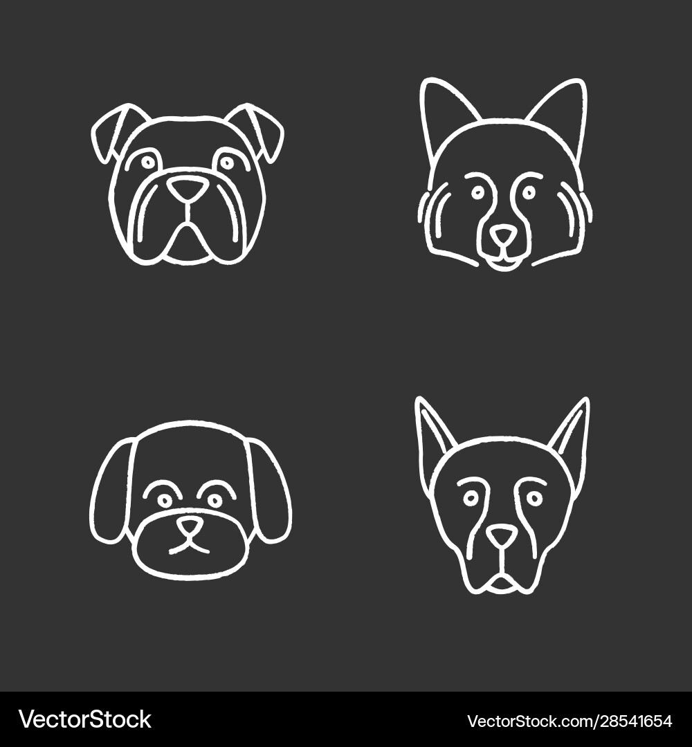 Dogs breeds chalk icons set Royalty Free Vector Image