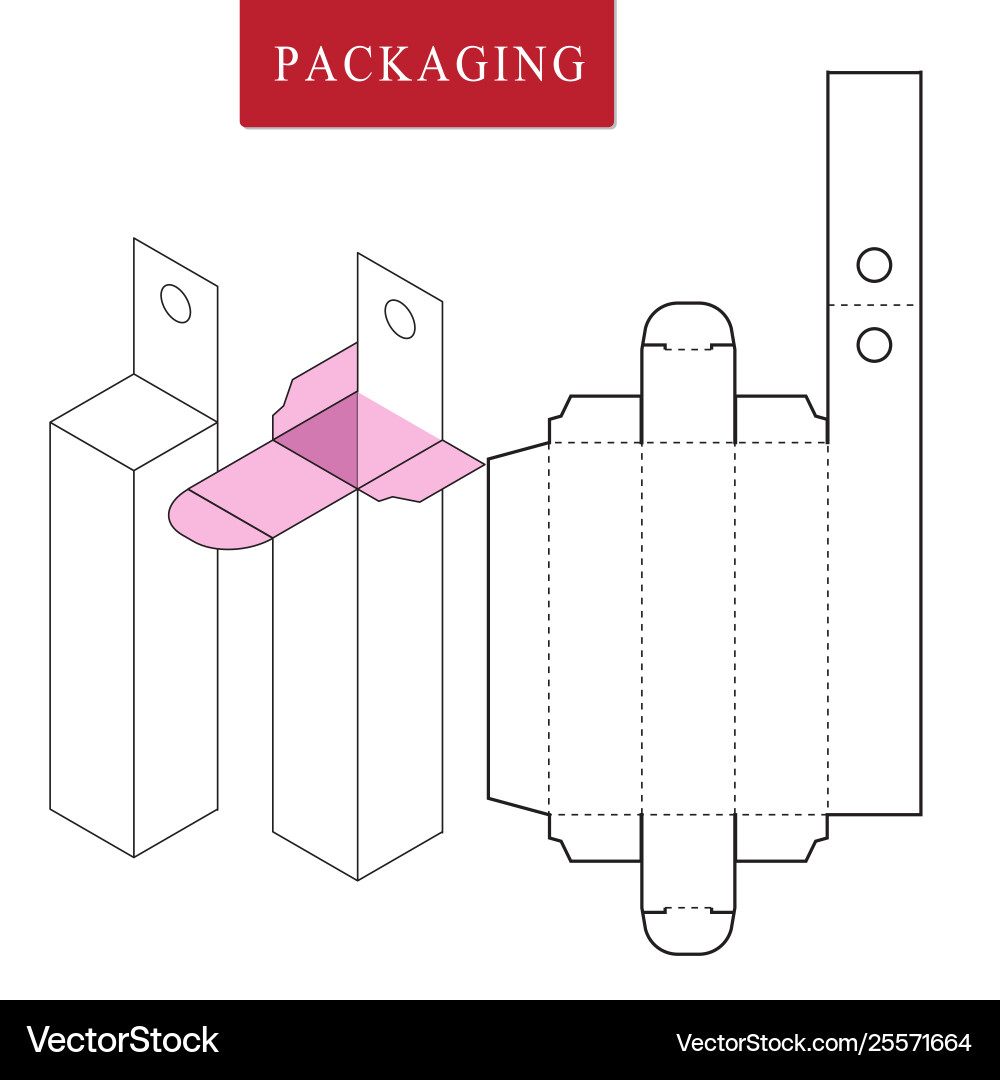 Packaging design boxpackage Royalty Free Vector Image
