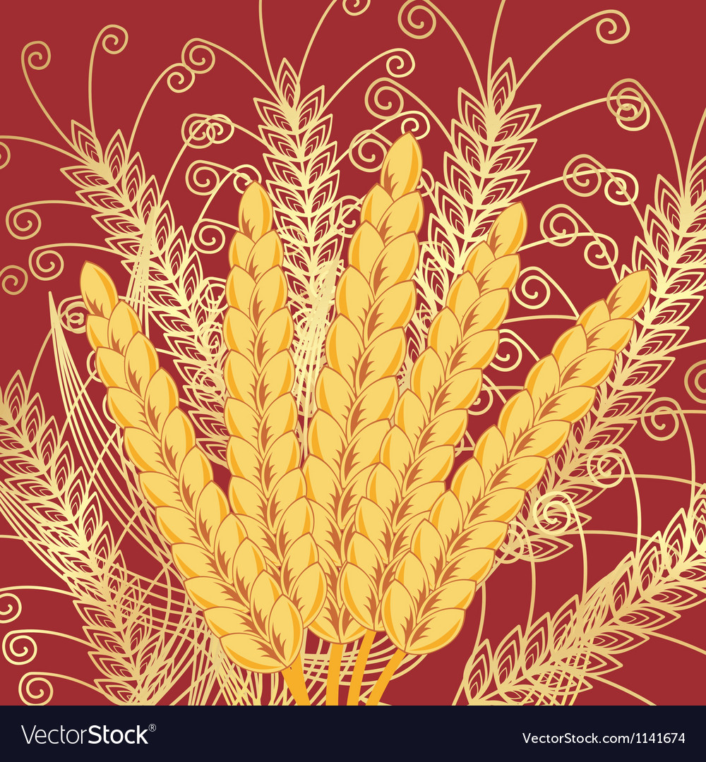 Wheat background Royalty Free Vector Image - VectorStock