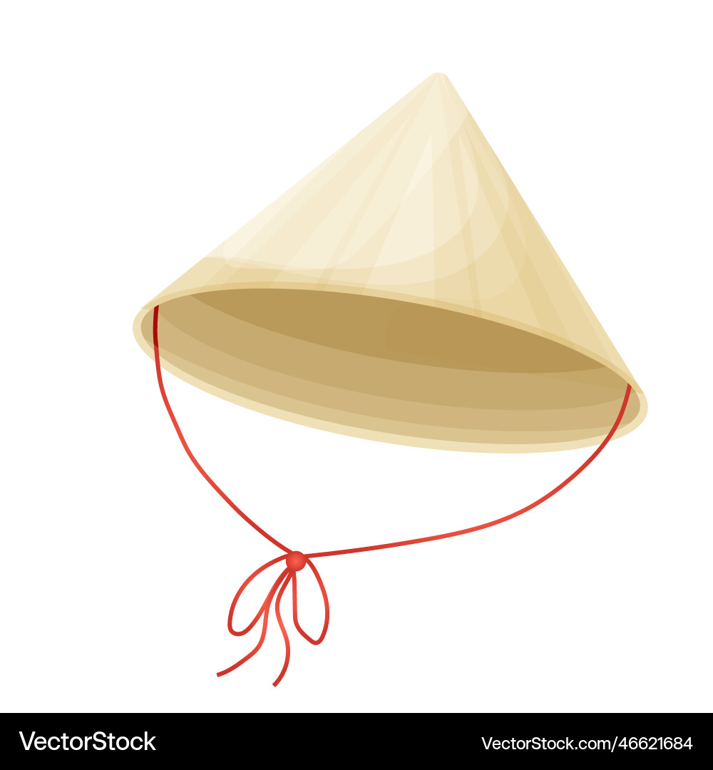 Conical traditional asian hat from natural Vector Image