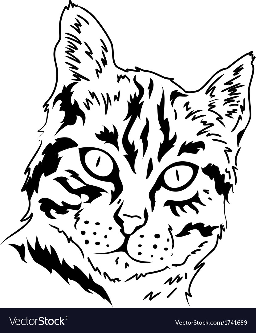 Cat Royalty Free Vector Image - VectorStock