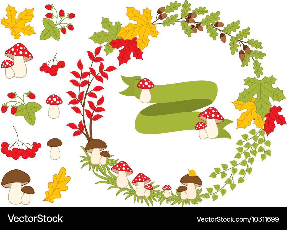 Autumn forest set Royalty Free Vector Image - VectorStock
