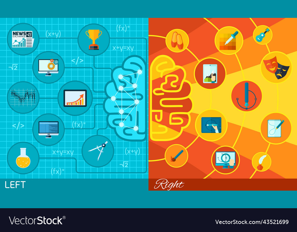 Left and right brain function Royalty Free Vector Image