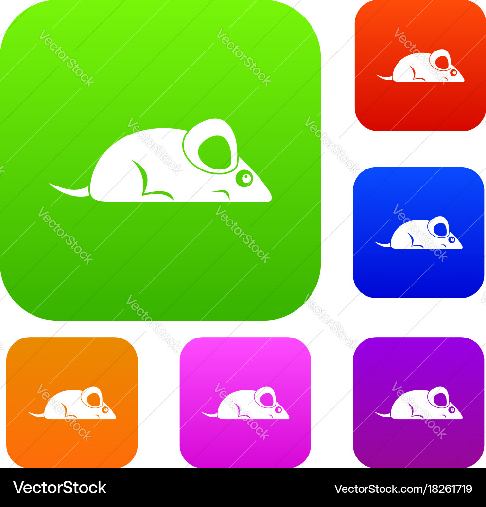 Pet mouse set color collection Royalty Free Vector Image