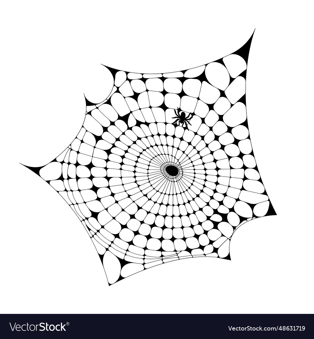 Spiderweb with spider isolated Royalty Free Vector Image