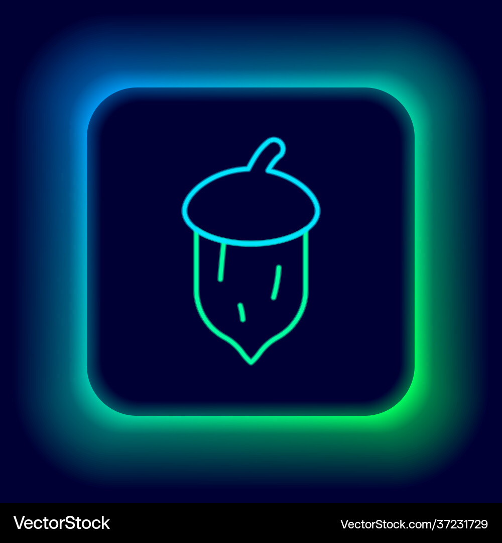 Glowing neon line acorn oak nut seed icon Vector Image