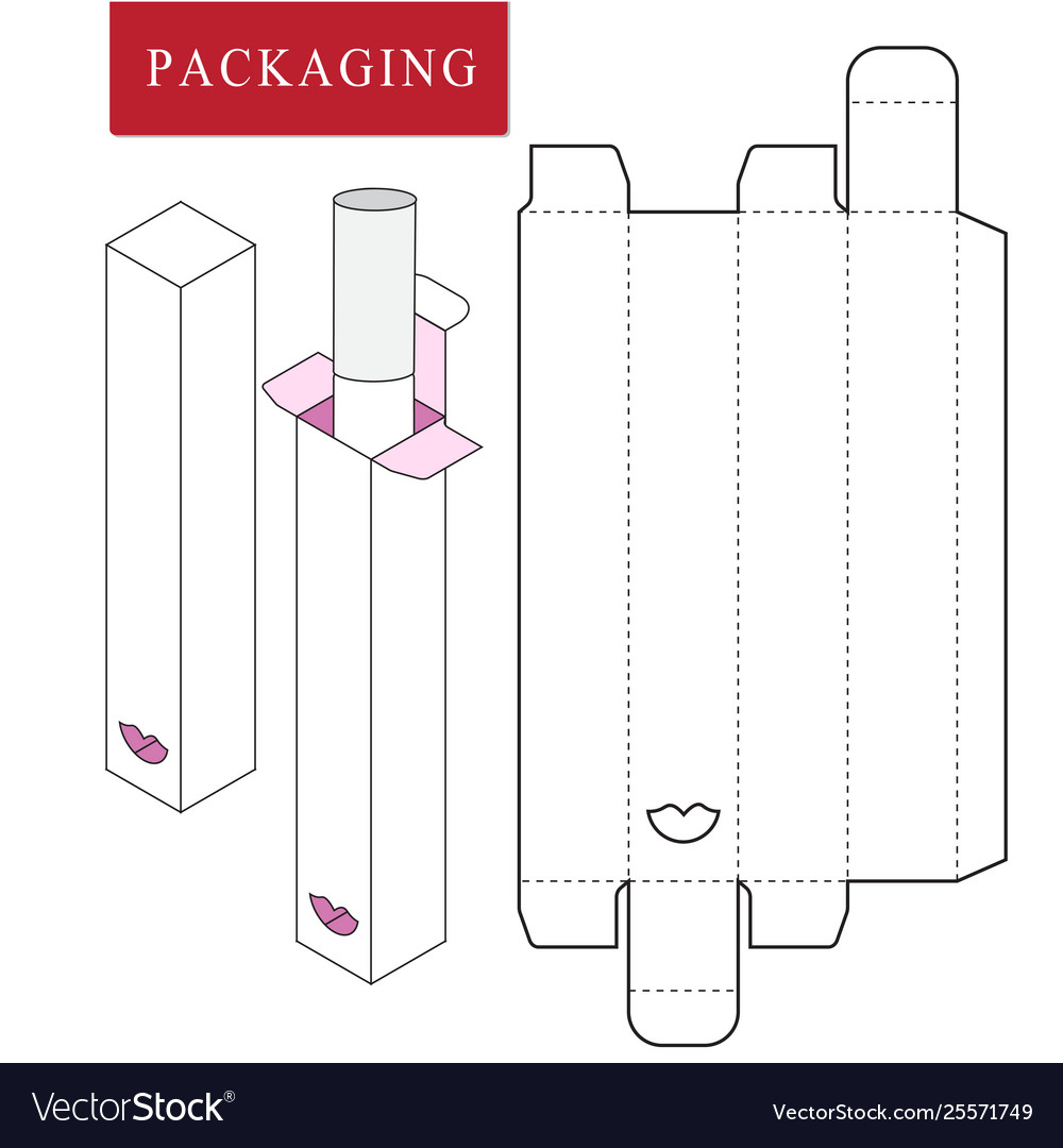 Packaging design boxpackage Royalty Free Vector Image