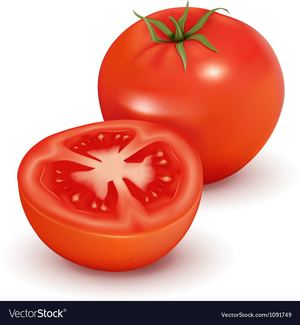Tomato Royalty Free Vector Image - VectorStock Tomato Royalty Free Vector Image - VectorStock