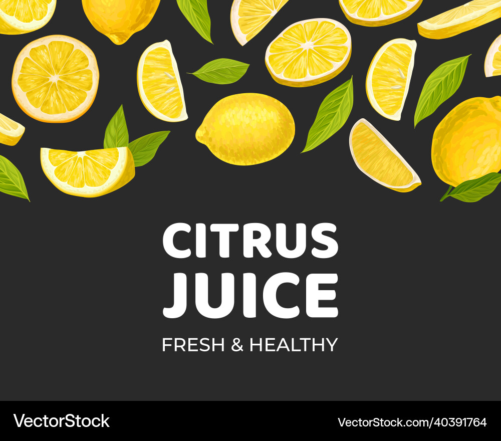 Bright yellow lemon citrus fruit with green leaf Vector Image