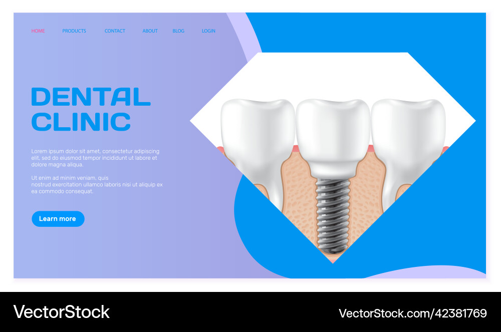 Human gum with healthy teeth and denture Vector Image